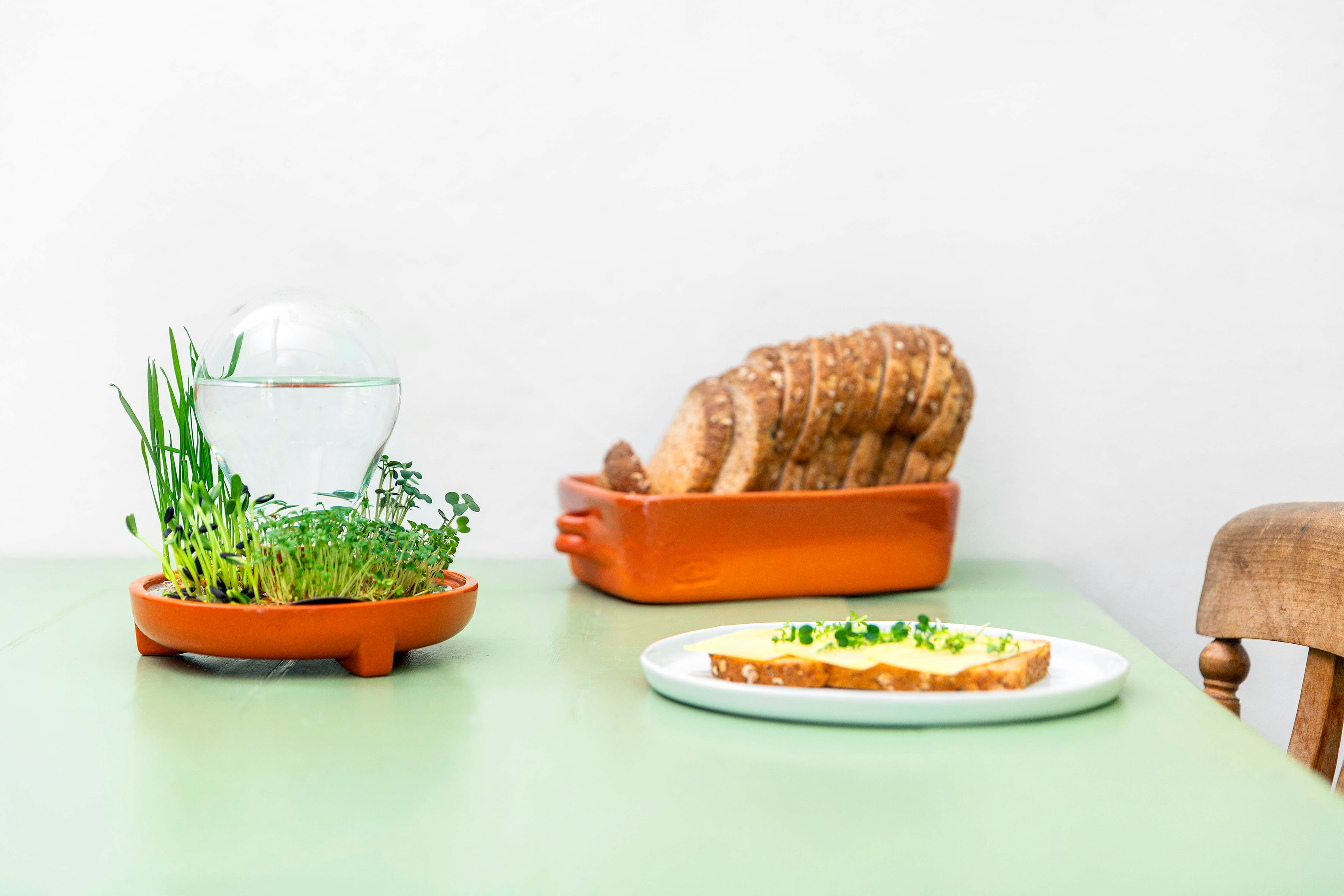 What does our Adaptive Appetites trend mean for food and drink brands?