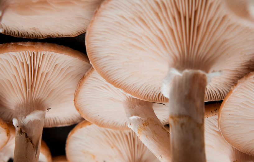 The Rise of Conscious Design | The Future Laboratory Blog